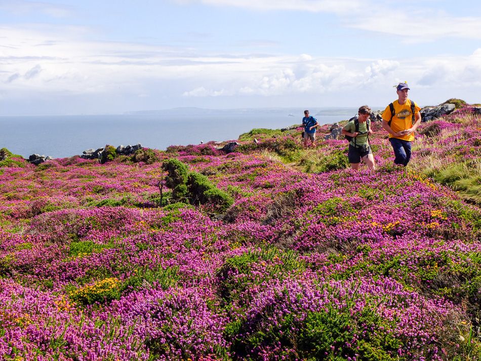 Groot-Brittannië - Groepsreis - Devon en Cornwall | Anders Reizen